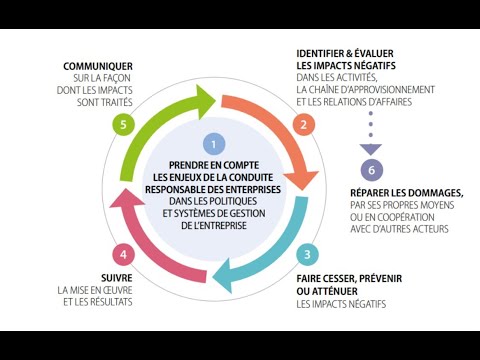 3. Explication des lignes directrices de l'OCDE en matière de diligence ...