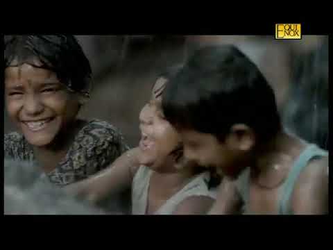 相信的力量 Lead India The Tree - YouTube