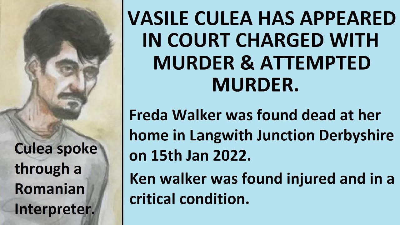 Romanian Vasile Culea appears in Court. - YouTube