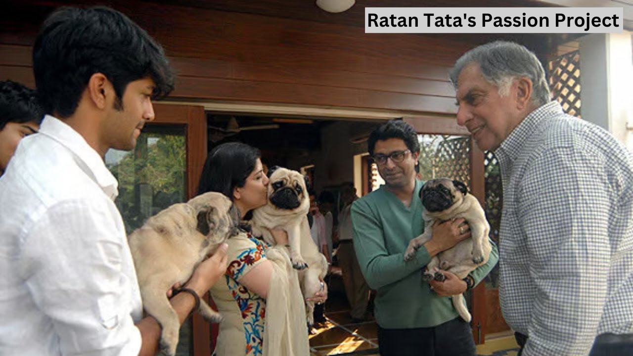 Ratan Tata's Passion Project: A Haven for Small Animals - YouTube