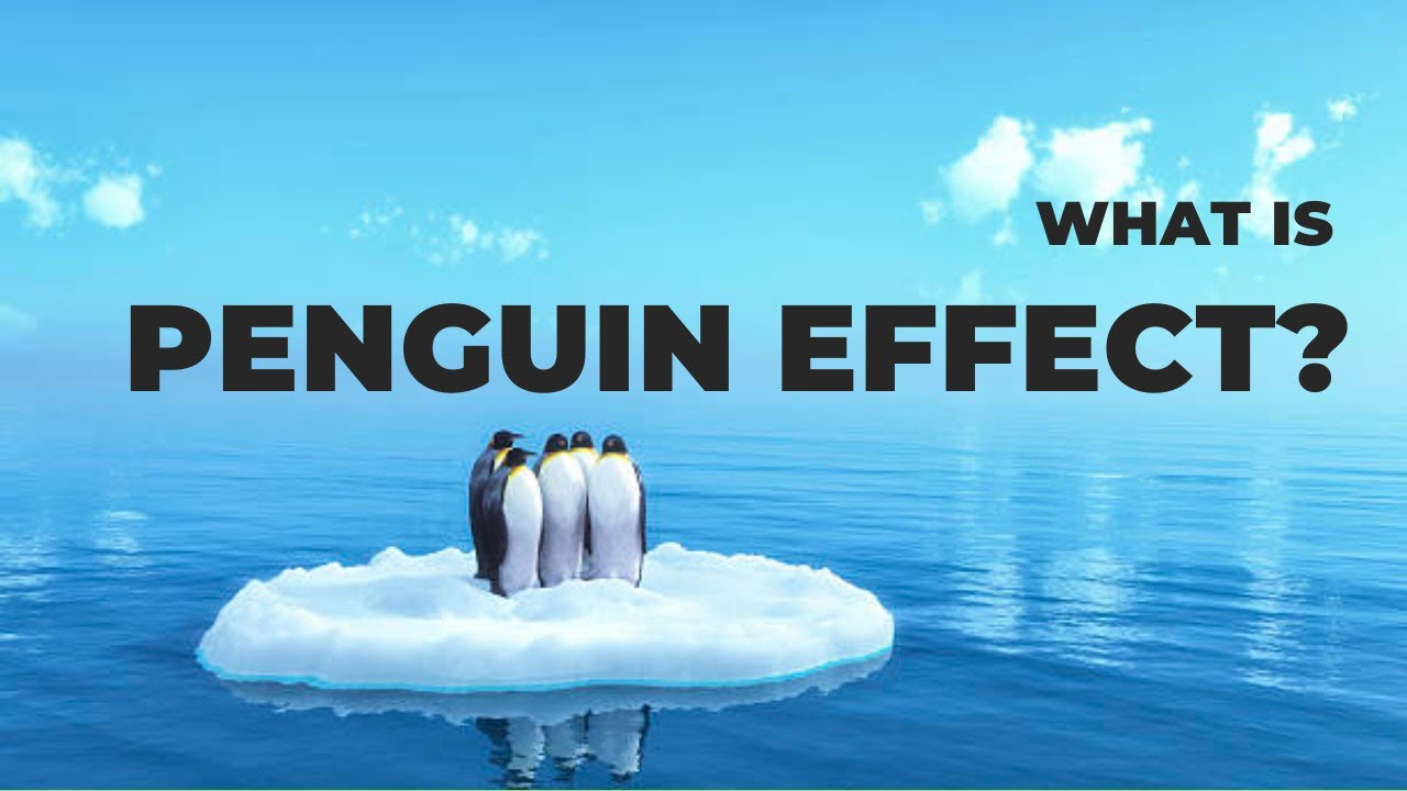 What is Penguin Effect? How Your Peers Affect Your Success? - YouTube