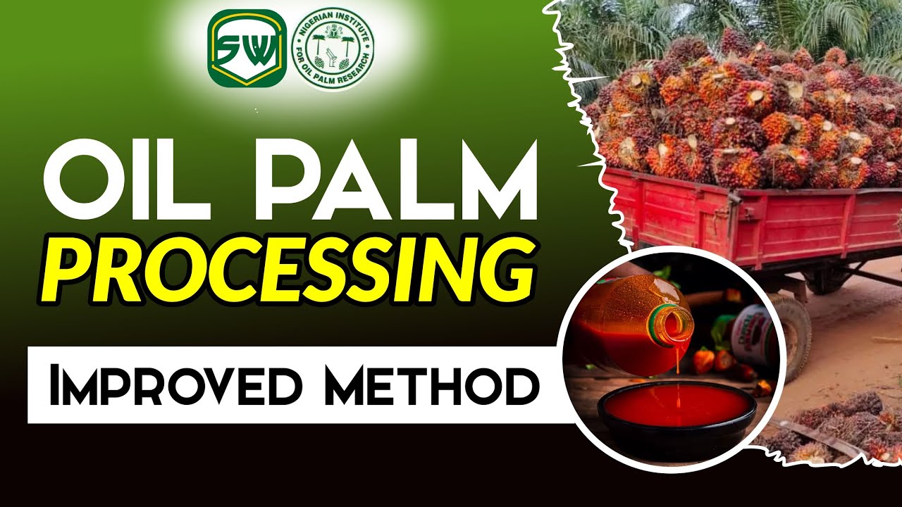 OIL PALM PROCESSING PART 1 - YouTube