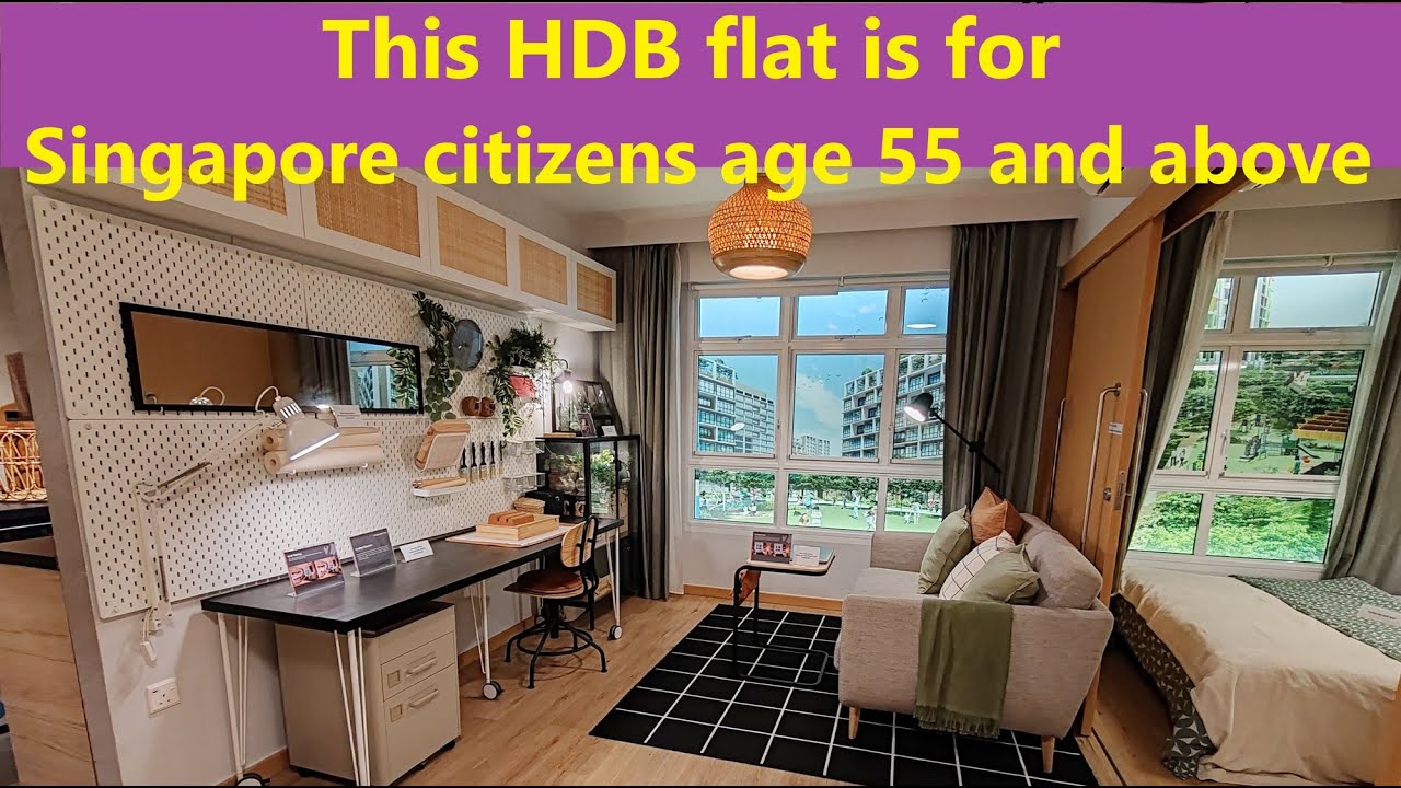 Singapore HDB 2 Room Flexi Flats Build For The Seniors YouTube