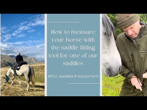 Measuring your horse for a saddle. “Using a saddle fitting tool” - YouTube