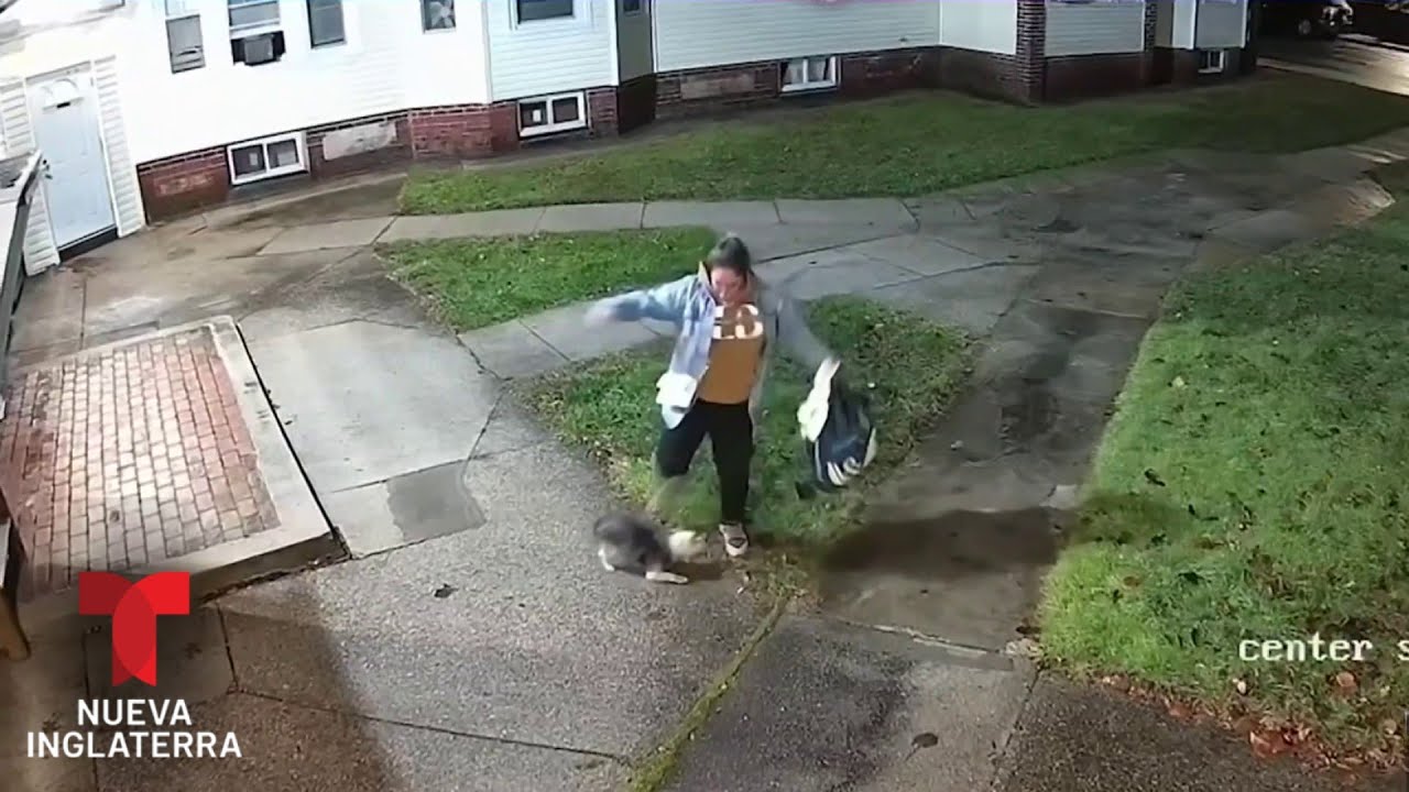 Mujer hispana es captada en cámara pateando a su perro - YouTube