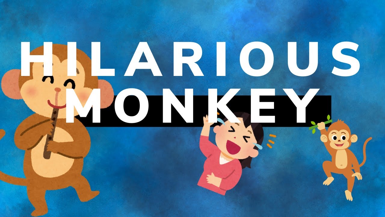 Laugh a Lot With The Funny Moments Of Monkeys 🐵 Funniest Animals Video ...