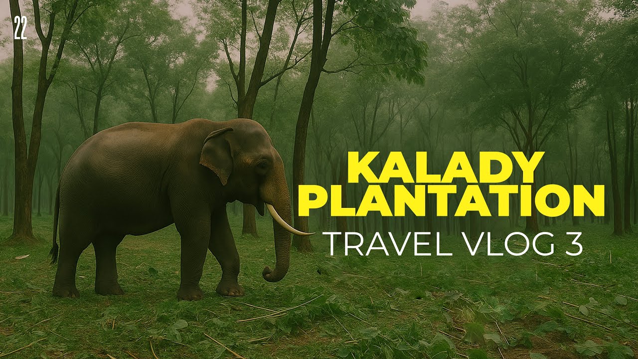 The Enchanting 4K Views of Ayyampuzha Village - YouTube