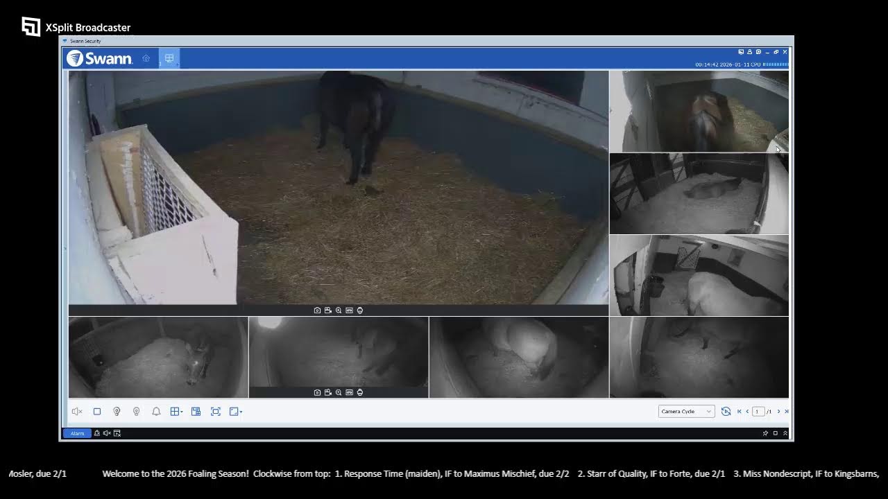 1/10/26 Livestream - YouTube