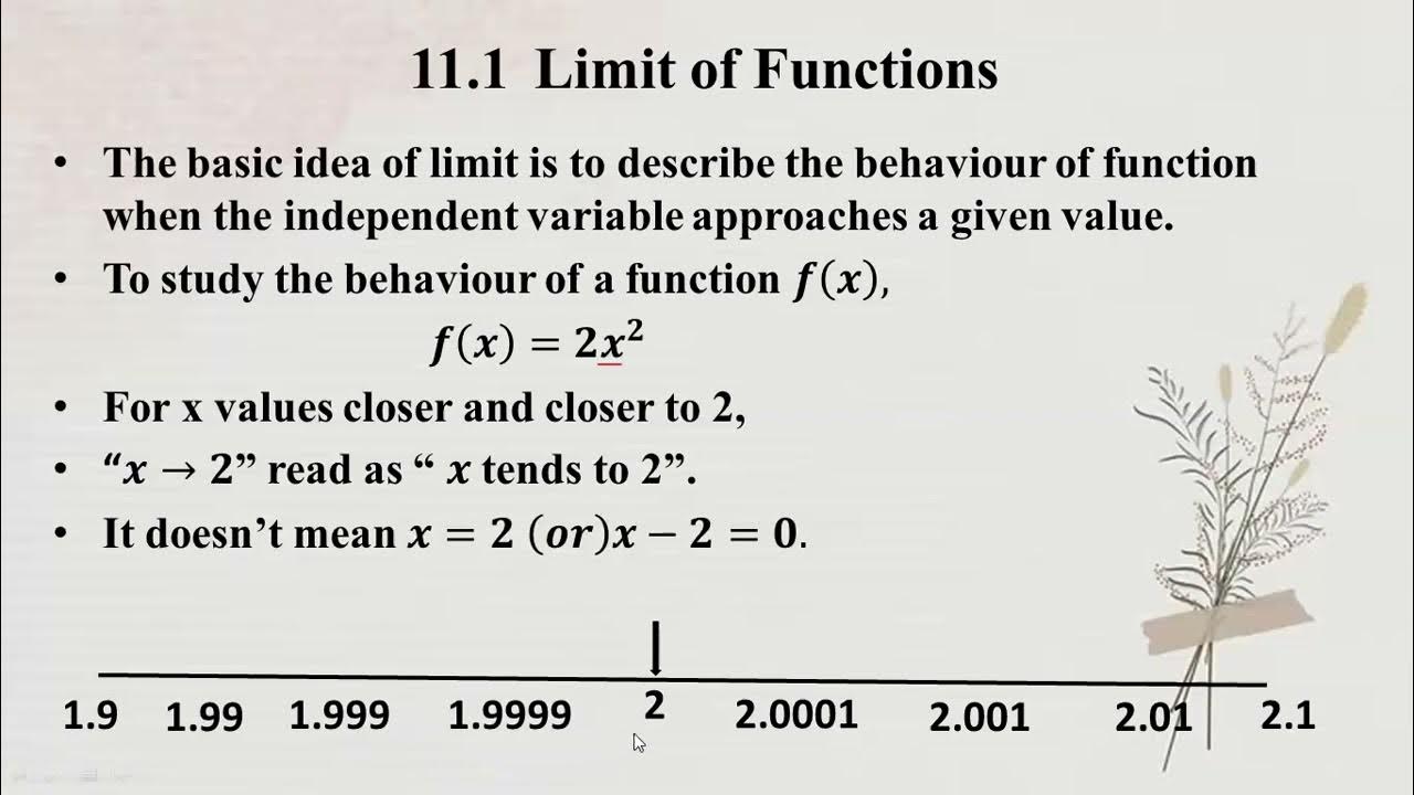 # Grade 11 Math (new course) ch 11 (Basic Idea of Limit) - YouTube