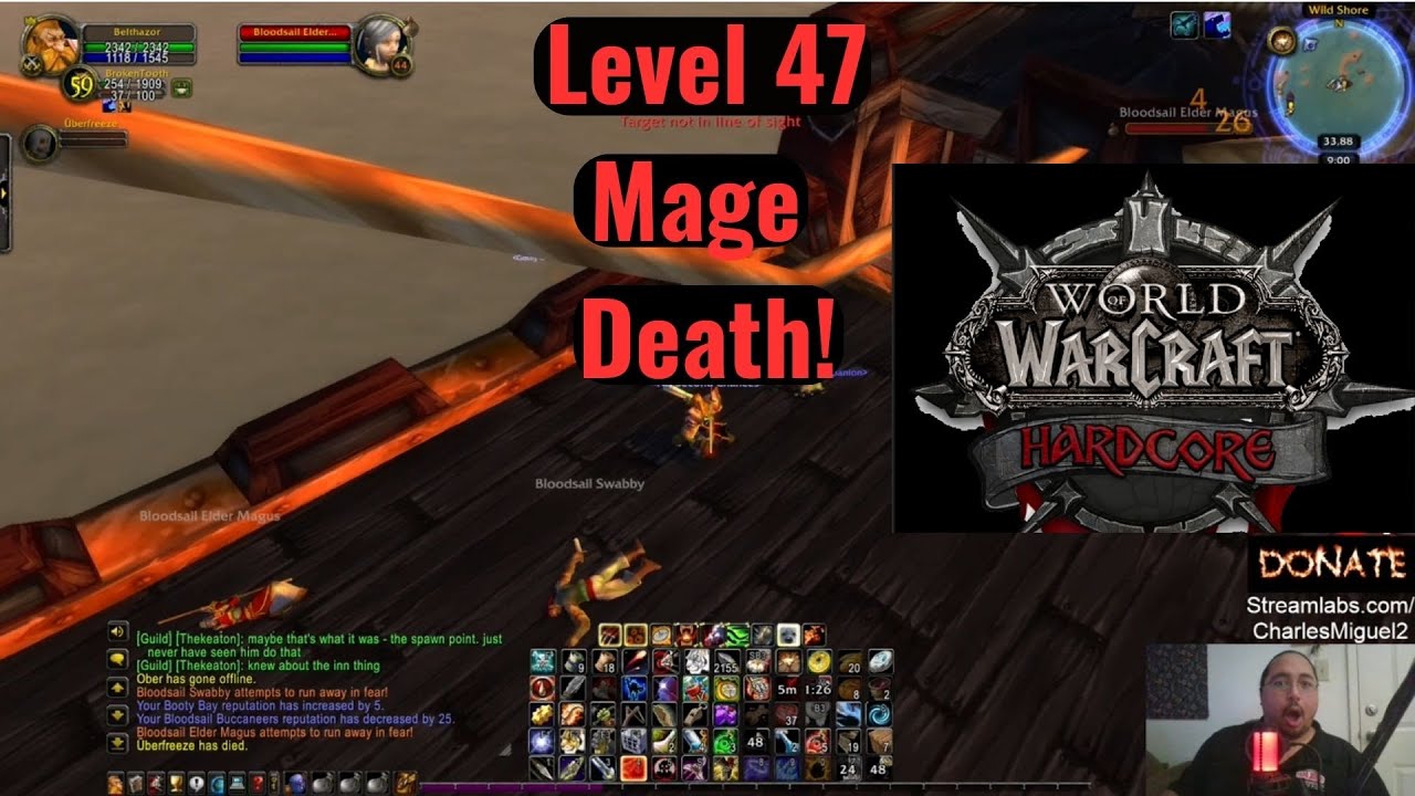 Wow Classic Hardcore. Mizkif At Fault Again In The Demise Of Level 47 ...