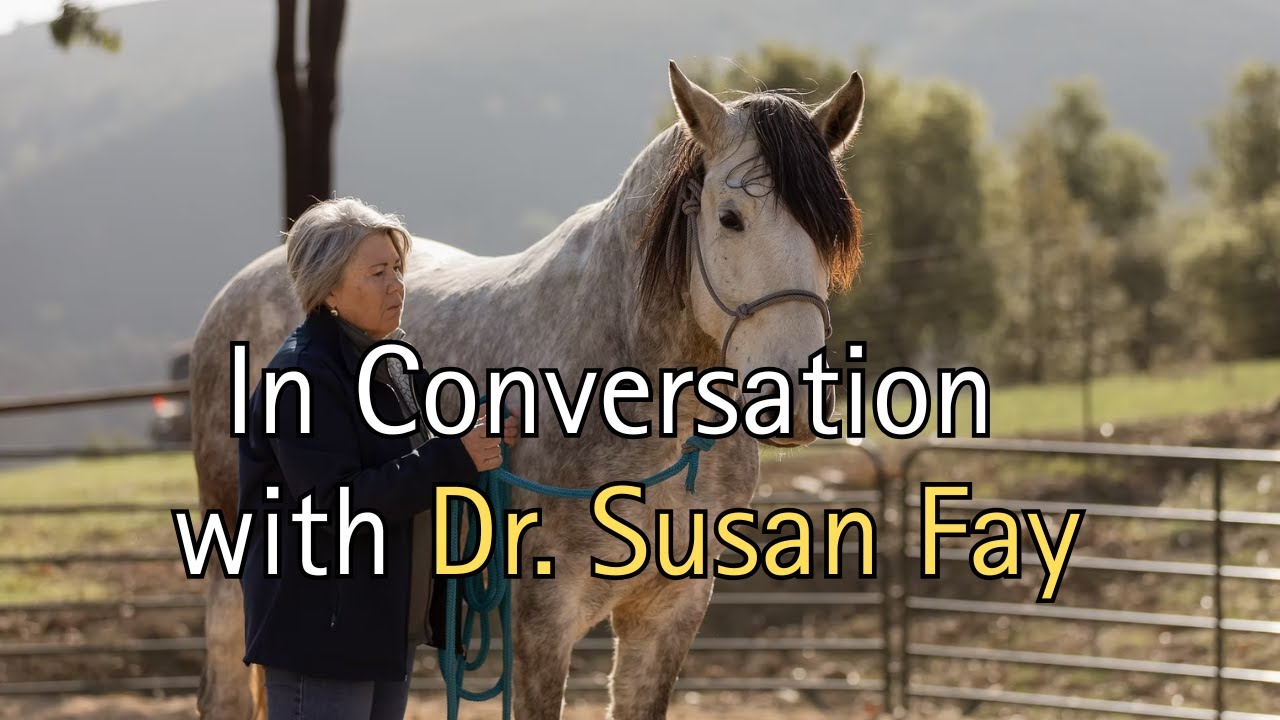 Dr Susan Fay Interview - YouTube