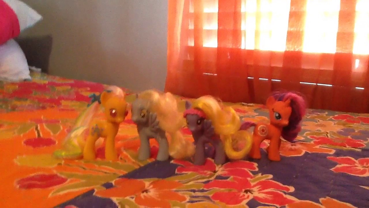 Month 8 ponies thank you all!! (And Tommy) - YouTube