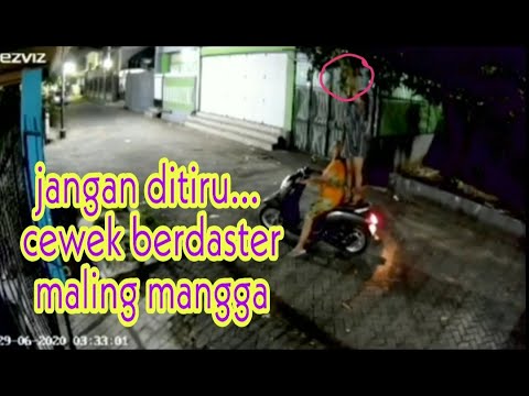 Wanita berdaster terekam kamera CCTV mencuri mangga gunakan sepada motor
