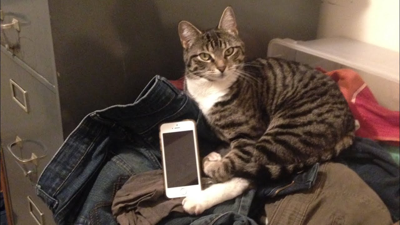 Fixing a haystack, cover and putting bigger tires on na ATV - YouTube