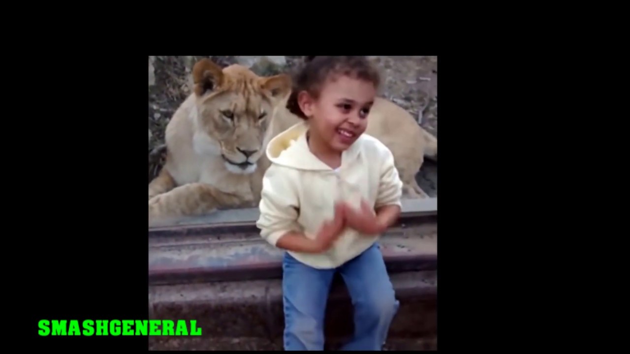 Animals Scaring Adults and Children FUNNY TRY NOT TO LAUGH BEST ...