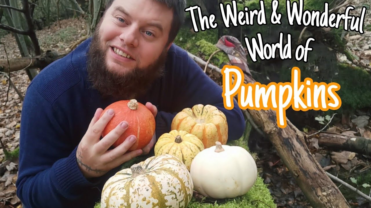 The Pumpkin - Weird & Wonderful Facts, Nutrition, History, Folklore ...