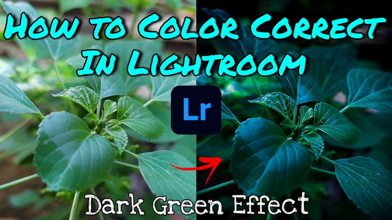 How to Color Correct in Lightroom | Learn Lightroom Editing | SmarTech ...