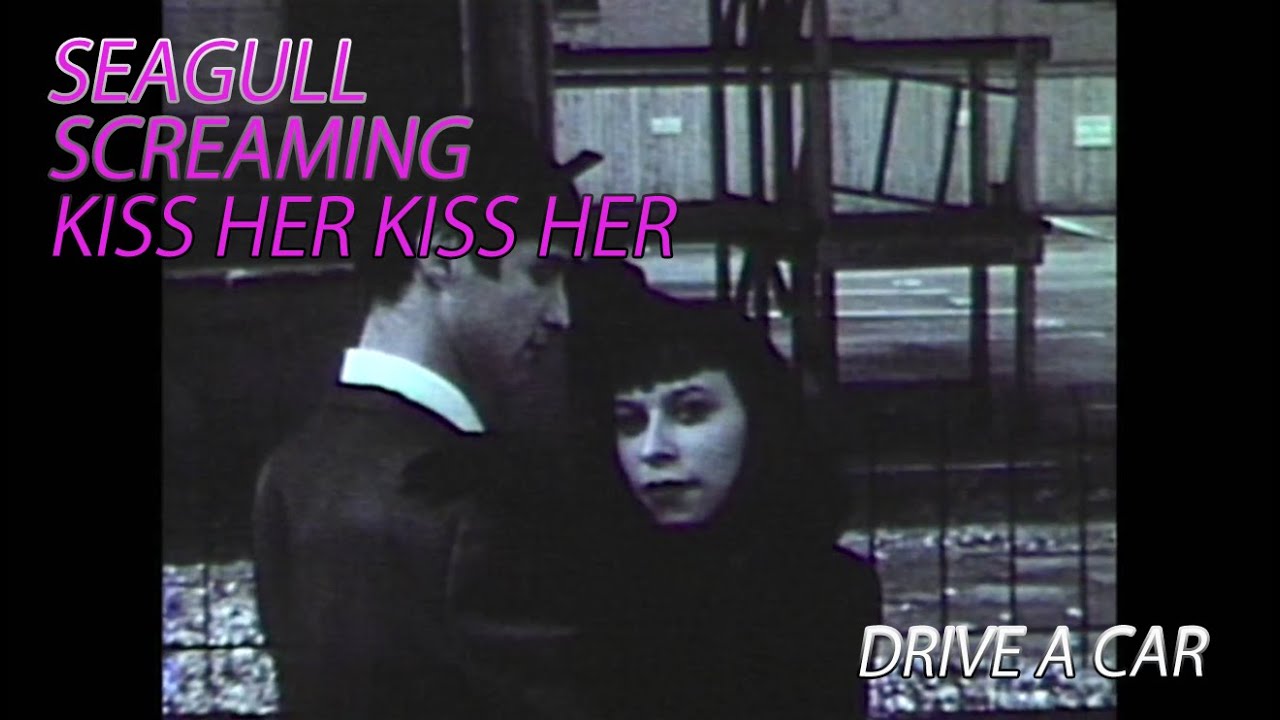DRIVE A CAR / SEAGULL SCREAMING KISS HER KISS HER (Official Music Video ...