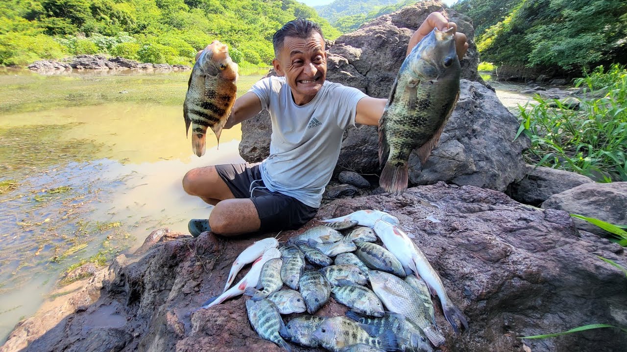 Gran pesca de mojarras gigantes de rio - YouTube
