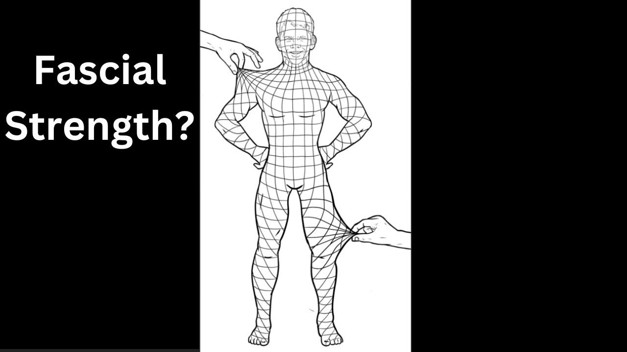Fascia Training Secrets REVEAL More Power & Less Pain - YouTube