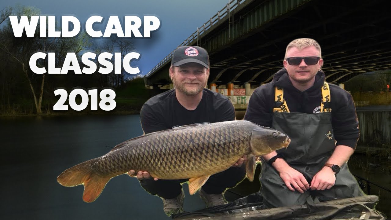 ***CARP FISHING*** Wild Carp Classic 2018, USA, River Seneca - YouTube