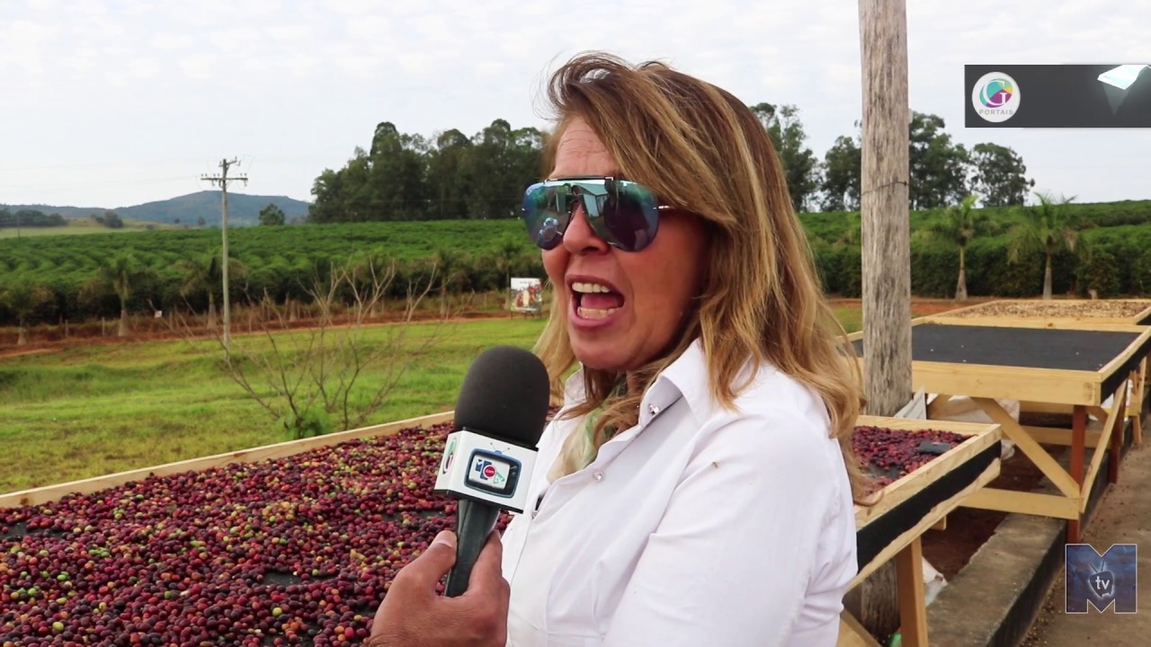 Marisa Contreras fala sobre a Safra de Cafés Especiais - YouTube