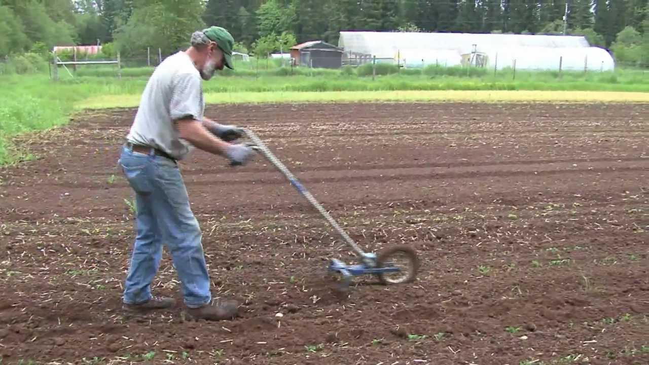 Weeding with a wheel hoe at Steve's Farm.mov - YouTube