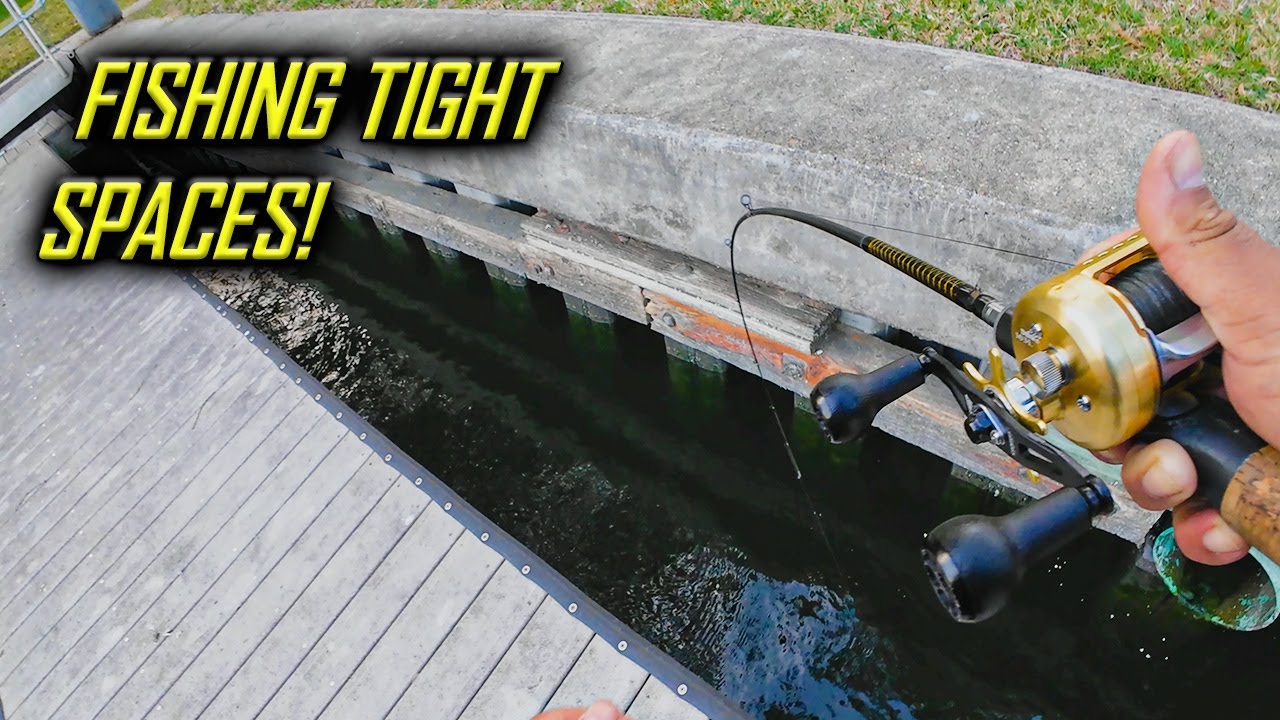 This is Why You Fish with Shrimp under Docks! (Fishing with Shrimp ...