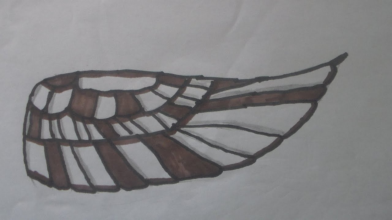 Restart: how to draw EASY bird wing. Part 1. - YouTube