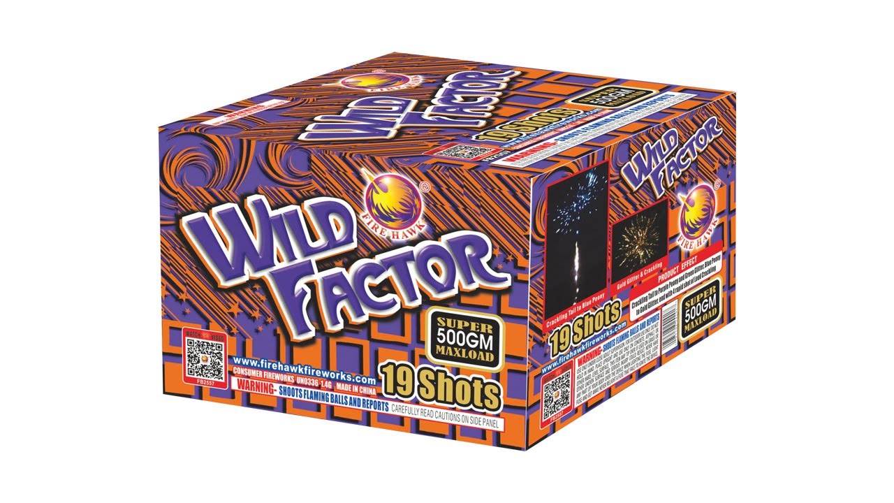 FB2557 19 Shot Wild Factor - YouTube
