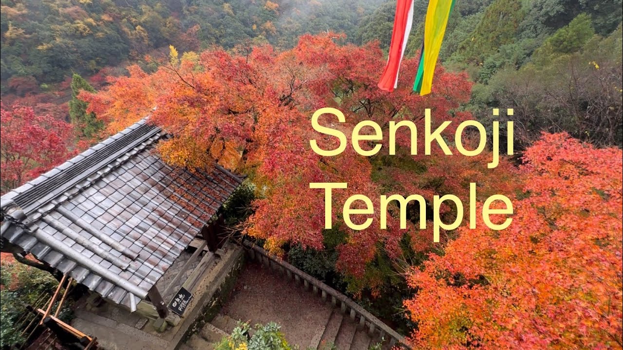 Up a river and 200 steps to Senkoji Temple - YouTube