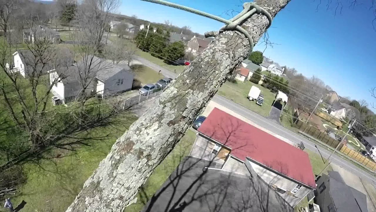 Brandon Cutting down a tree over a house. - YouTube