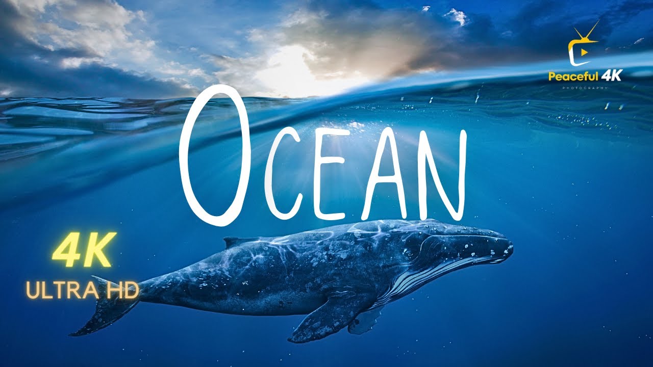 4K Ocean Relaxation | Peaceful and Calming Music for Stress Relief ...