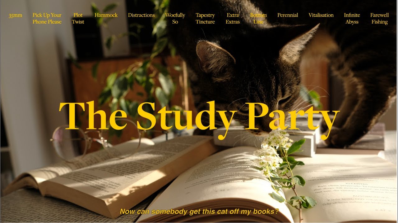 The Study Party: A party playlist but for when books or work are the ...