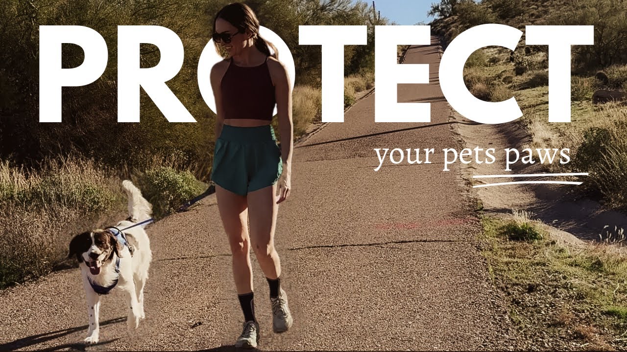 Ultimate Paw Protection: Keep Your Pet's Paws Safe! - YouTube