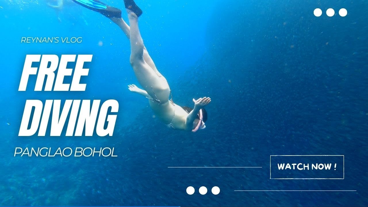 Free Diving in Panglao Bohol with sardines - YouTube