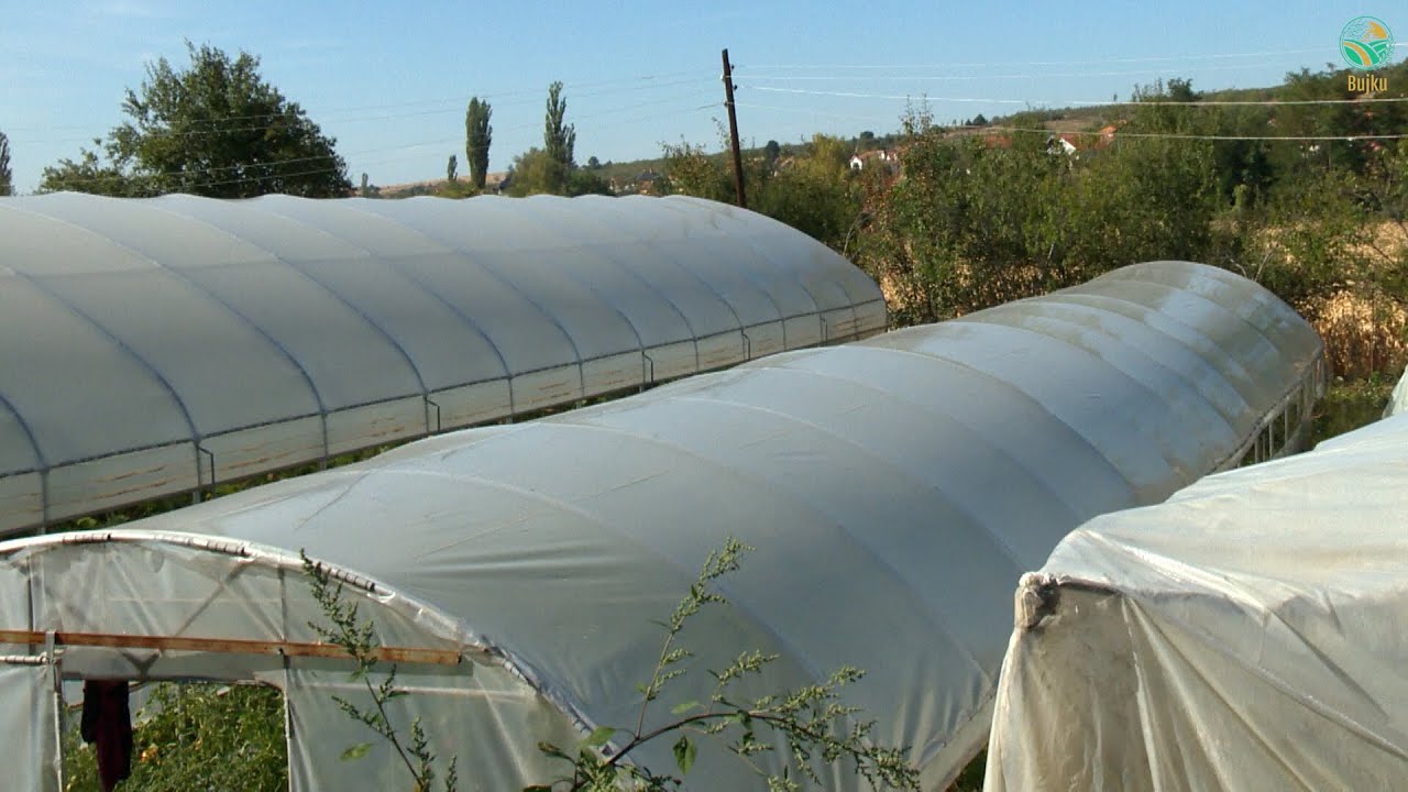 BUJKU Ketu punojme me burrin dhe vajzen, nga bujqesia mund te jetohet ...