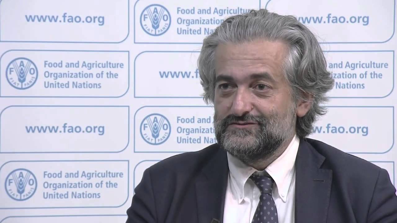 Luca Alinovi takes stock of his 17 years at FAO - YouTube