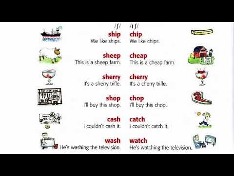 Unit 34 Ship or Sheep Minimal Pairs - YouTube