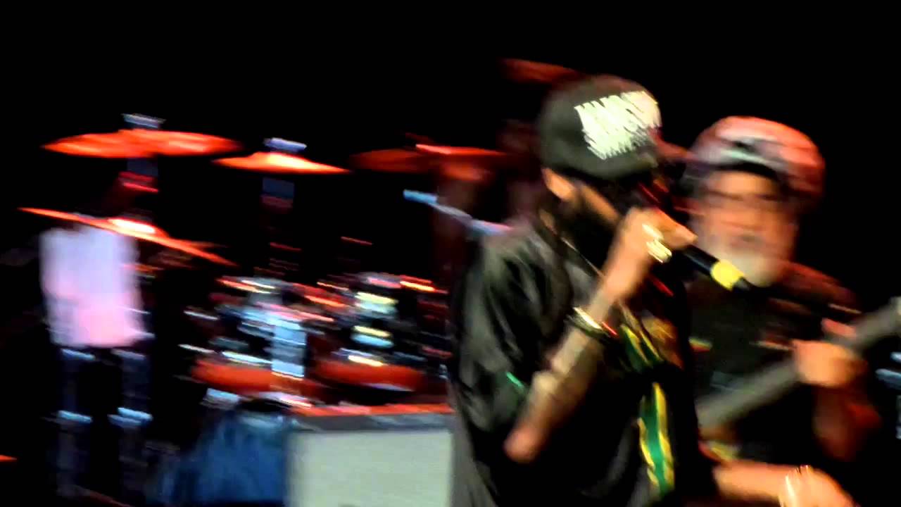 Tarrus Riley 8-29-15 Medley 4th Annual Reggae In The Park Phialdelphia ...