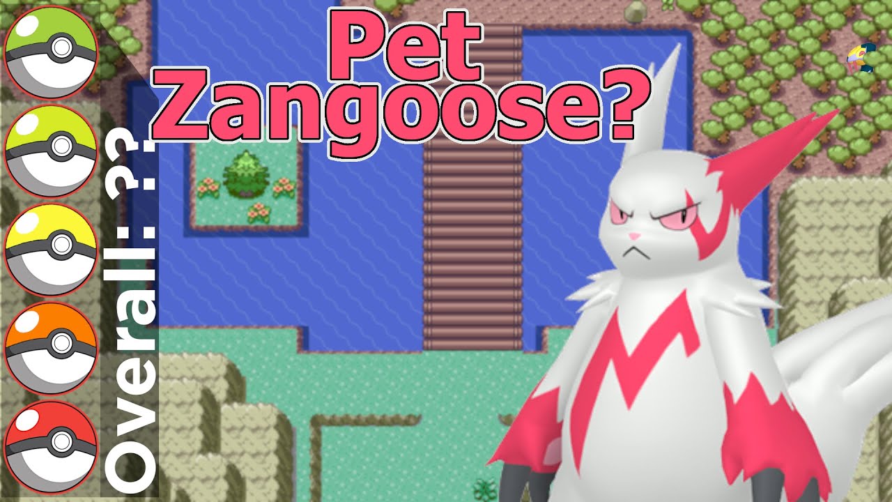 Would Zangoose Make a Good Pet? ll Pallet University - YouTube