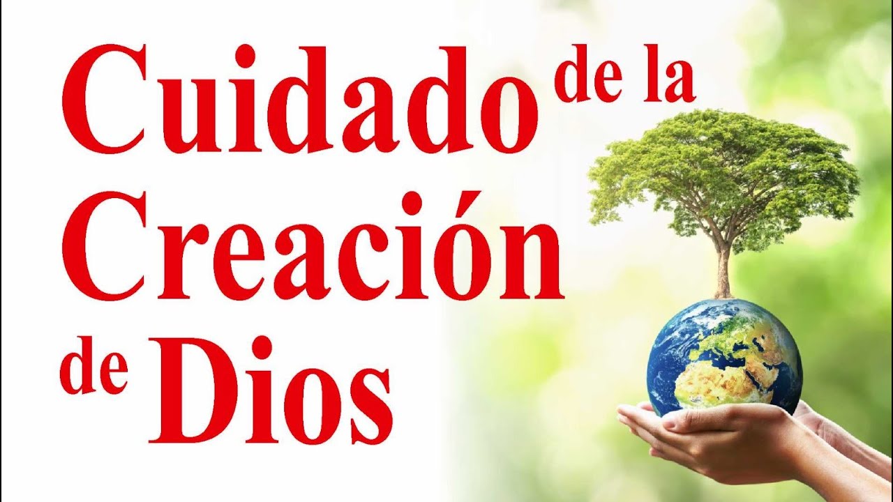 EL CUIDADO DE LA CREACIÓN DE DIOS - DIEGO ARBELÁEZ - YouTube