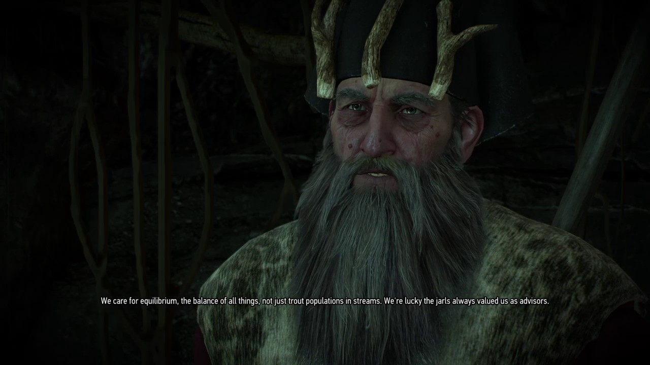 The Witcher 3: Wild Hunt - Talking to Ermion - YouTube