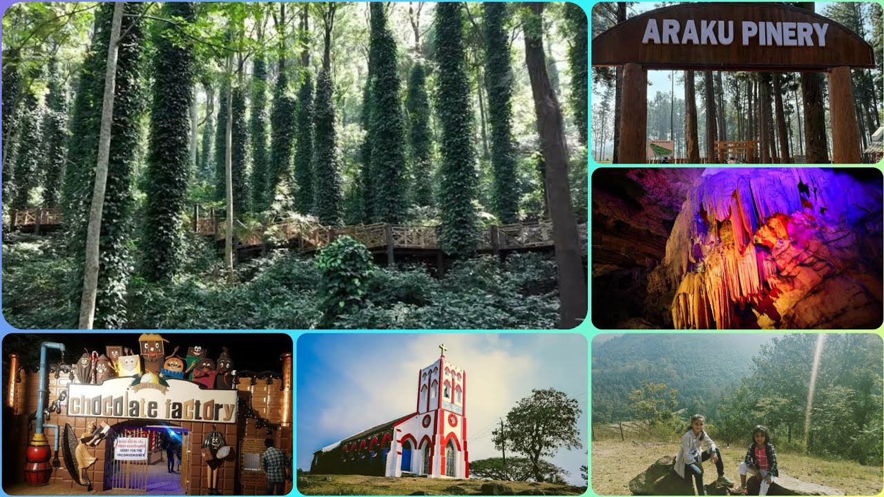 ARAKU Trip (Part -2) ||Araku Pinery ||Wooden Bridge ||CBM Church ...