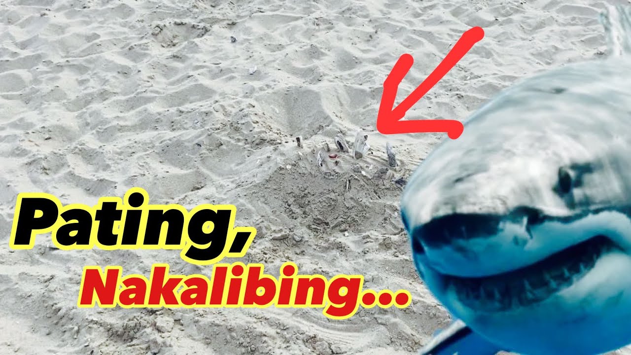 May pating na nilibing sa tabing dagat #lifeisabeach #dagat - YouTube