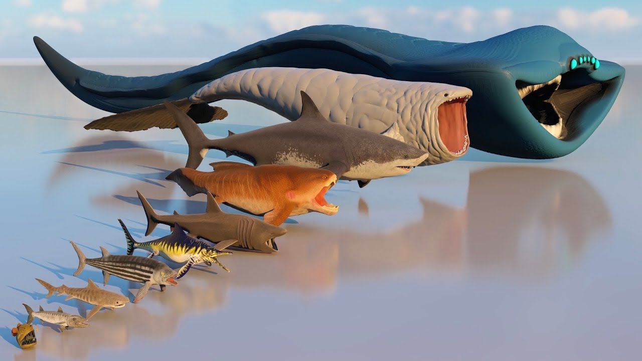 Sea Monsters 3D Size Comparison: Bloop vs Megalodon - YouTube