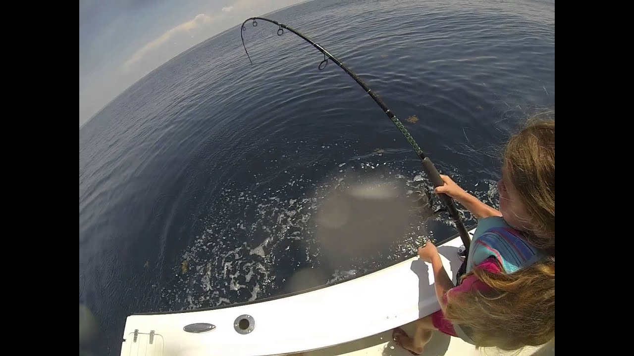 Black Tip Shark - caught on 20lb braid , 30lb flouro leader - YouTube