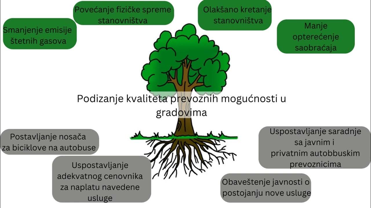 Problem Tree and Objective Tree Analysis - Bike on Bus - YouTube