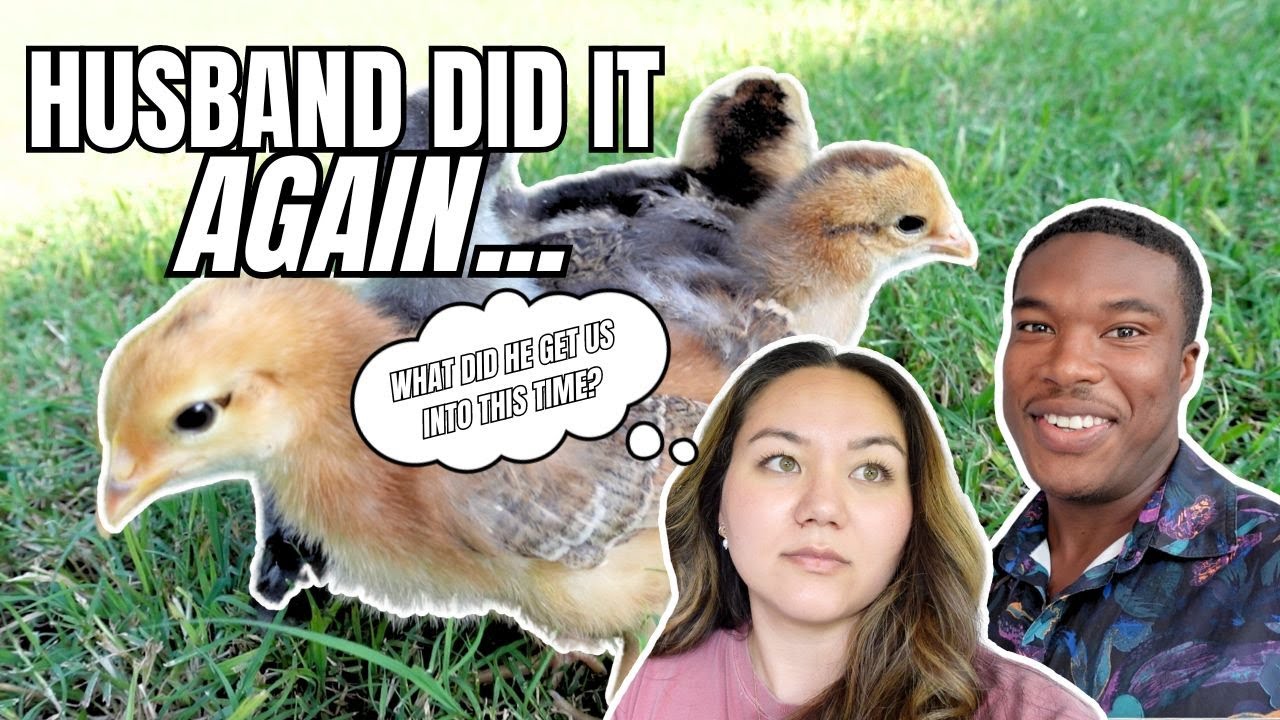 Easter Egger & Prairie Bluebell Chicks Unboxing + Garden Update| ETHAN ...