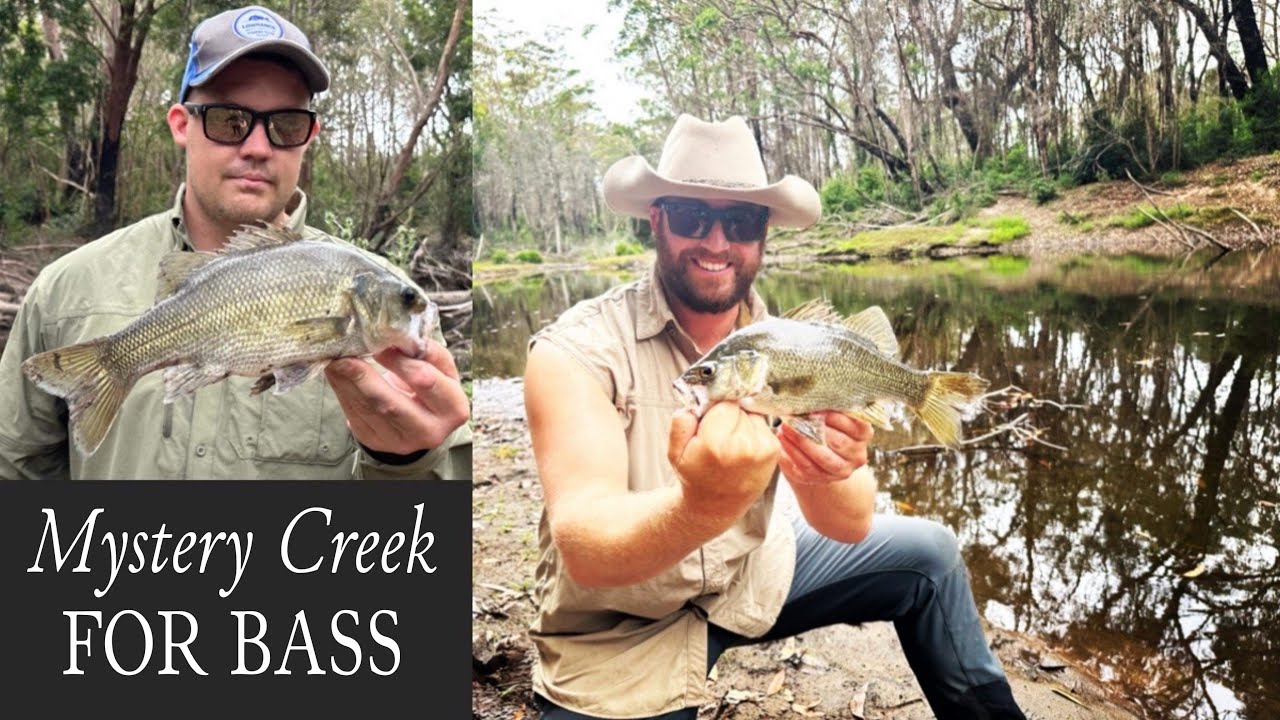 There were BASS here! Successfully locating a new secret fishing ...